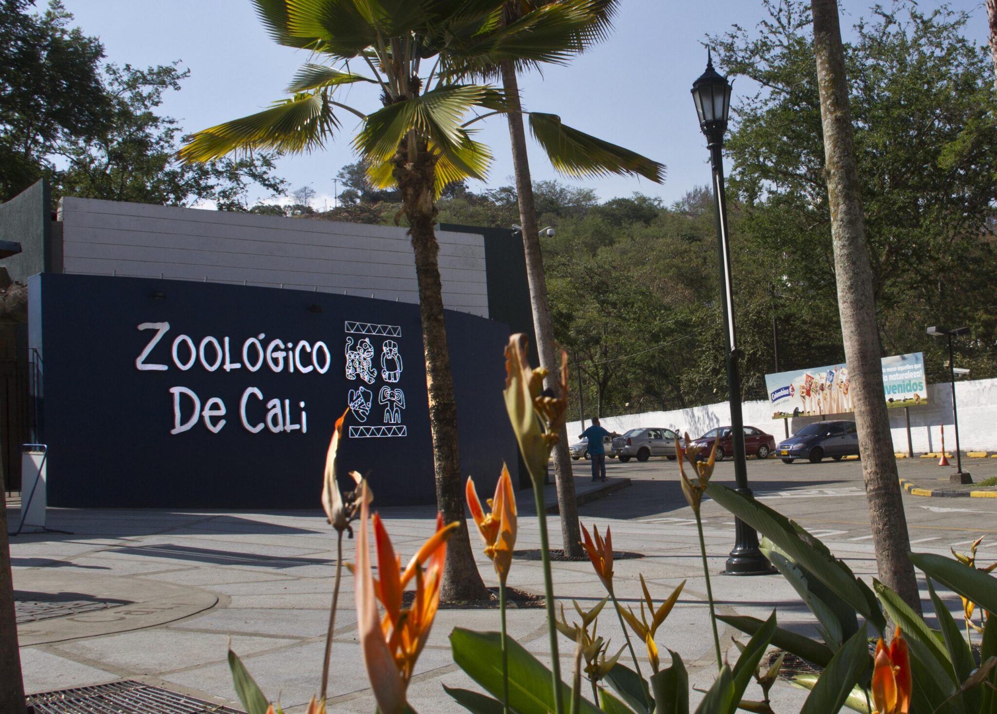 Zoológico de Cali - Cali es donde debes estar