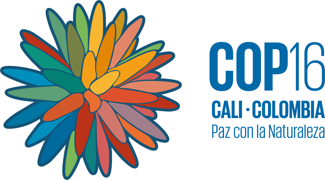 Ringlete - CALI ES DONDE DEBES ESTAR